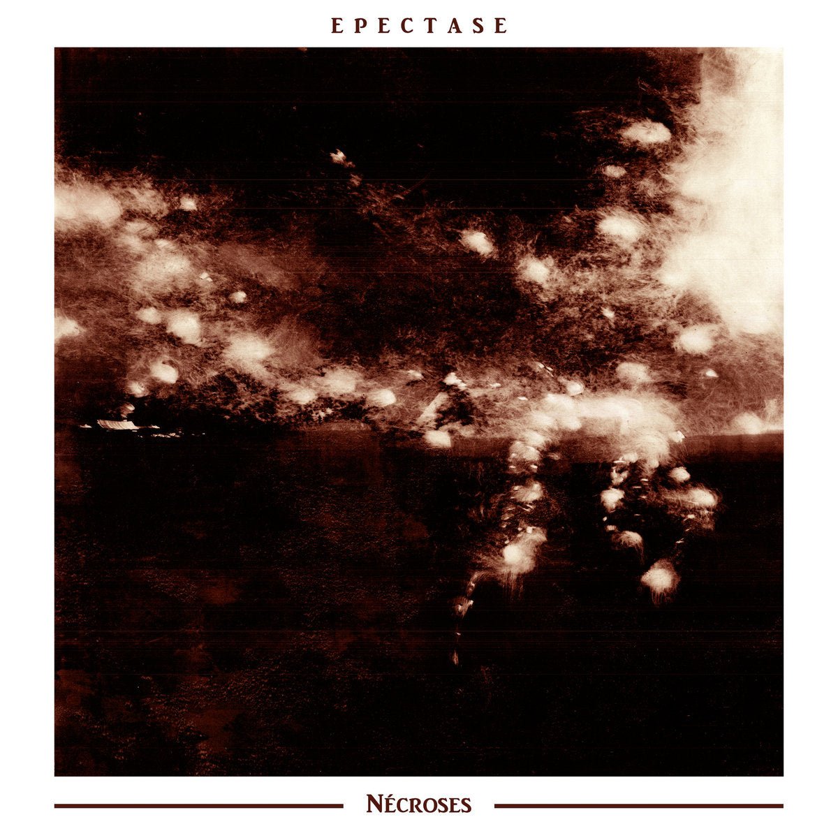 Epectase - Nécroses - Frozen Records Vinyl – FROZEN RECORDS